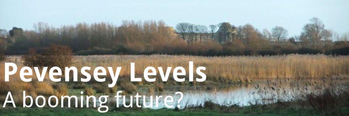 ECOS 38 (2): Pevensey Levels – a booming future? - ECOS - Challenging ...